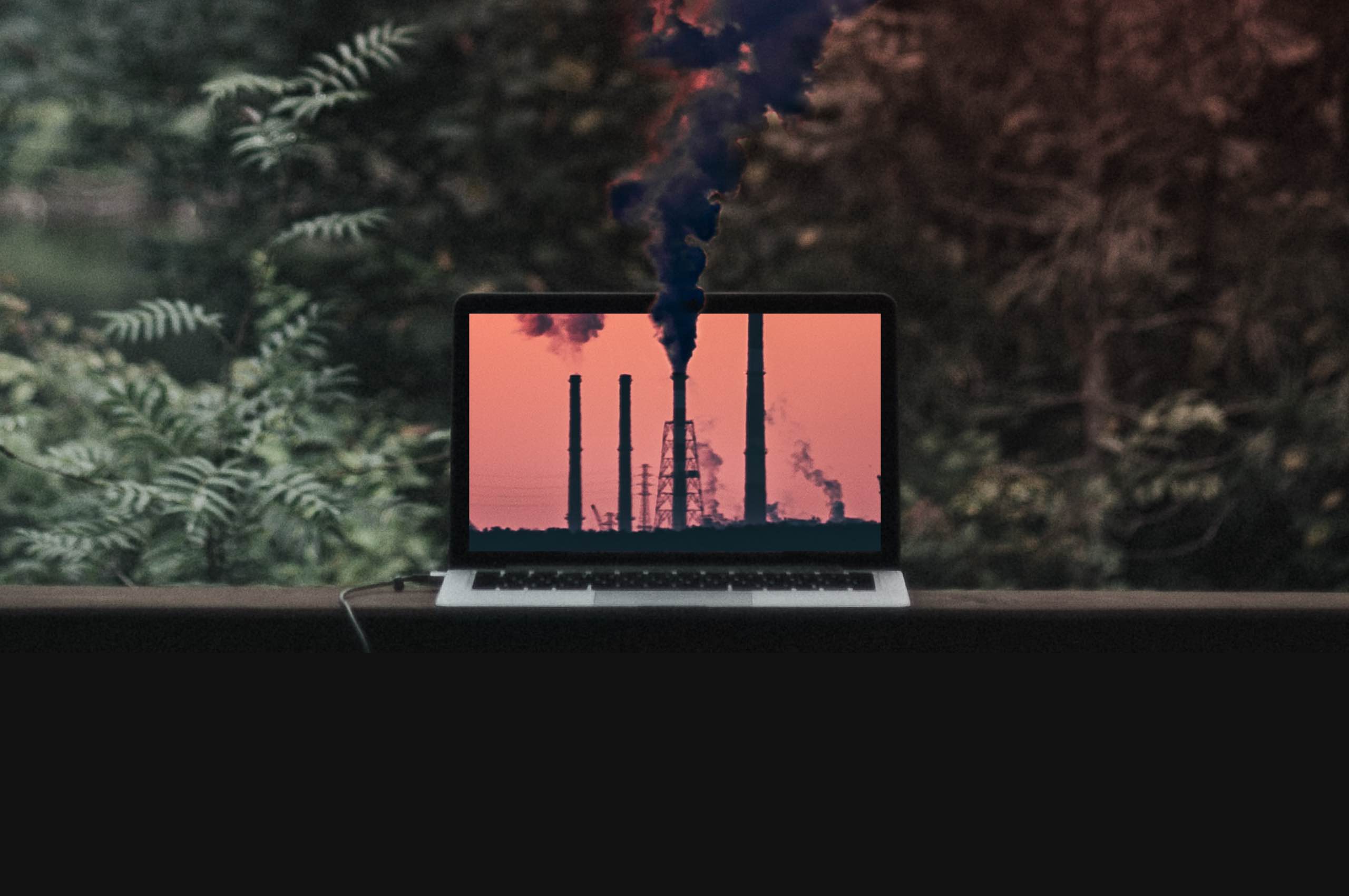 How can marketers fight against digital pollution? - Editions